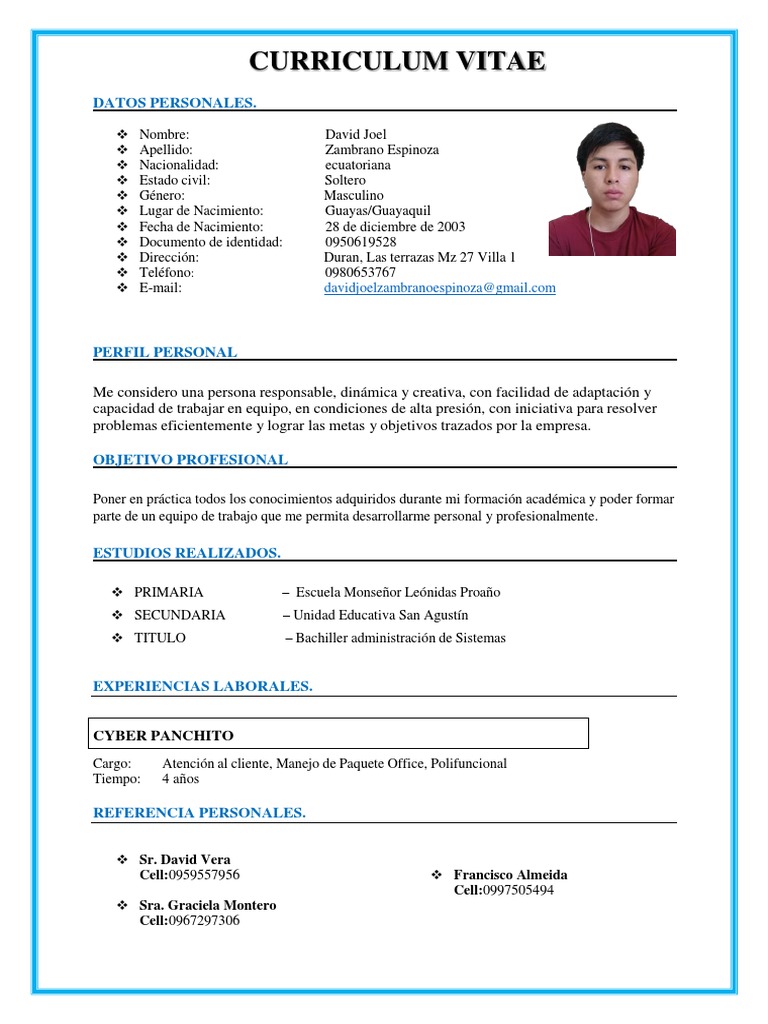 Curriculum Vitae David Zambrano | PDF