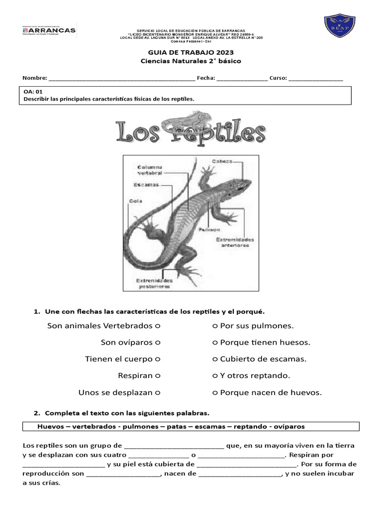 Guía Ciencias Naturales. Reptiles | PDF