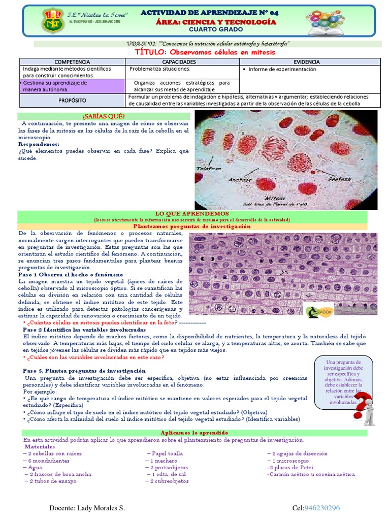 Ficha 04-U2 - 4to-Indaga - Mitosis y Meiosis | PDF | Mitosis | Biología ...