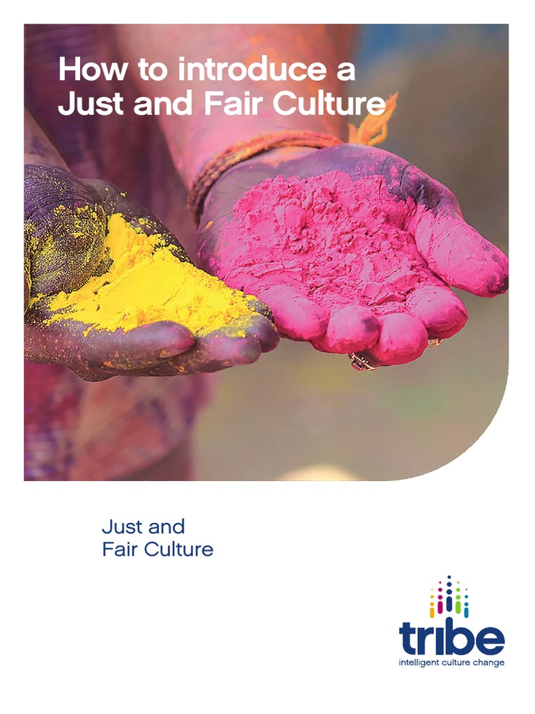 Tribe Insight Doc - Just and Fair Culture-Final | PDF | Performance ...