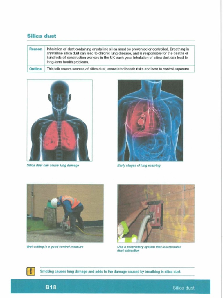 B18 Silica Dust | PDF