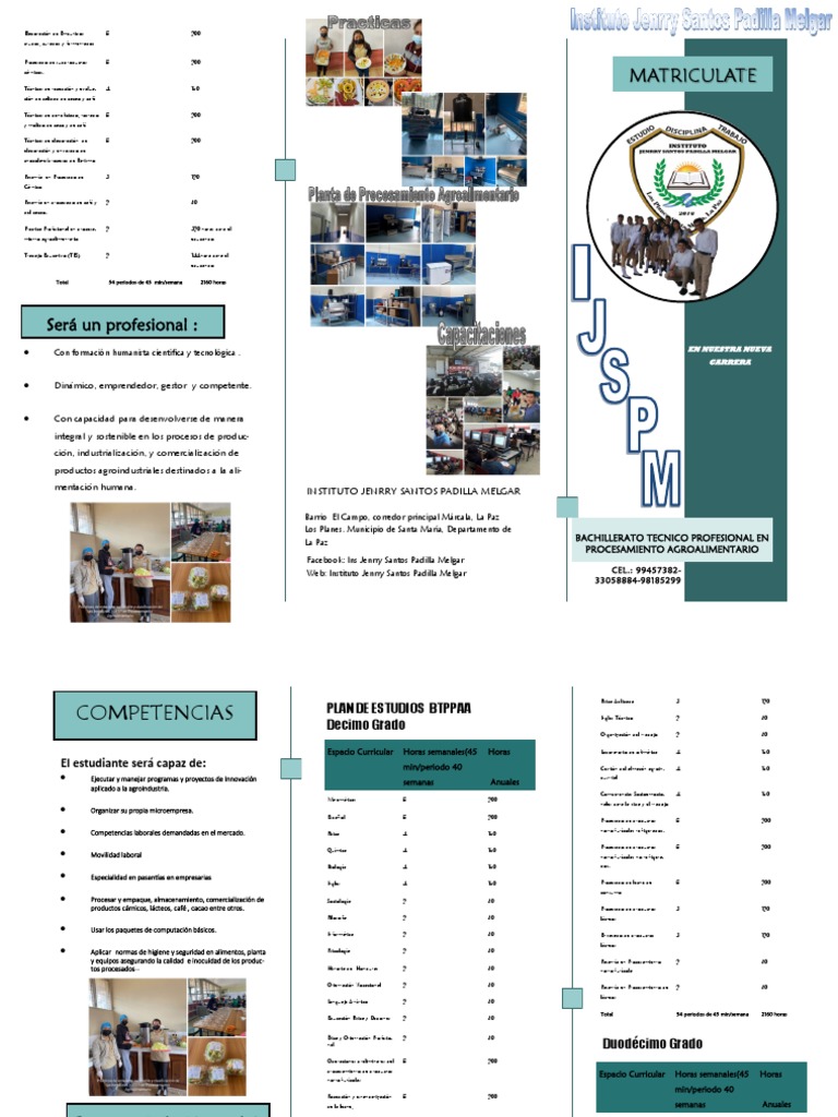Trifolio BTPPAA | PDF | Leche | Comida y bebida