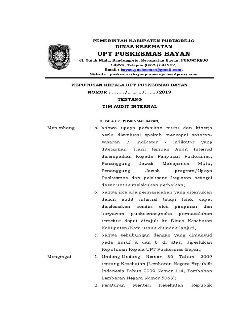 Tim Audit Internal Puskesmas Bayan | PDF
