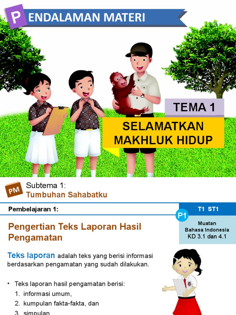 Tema 1 Subtema 1 | PDF