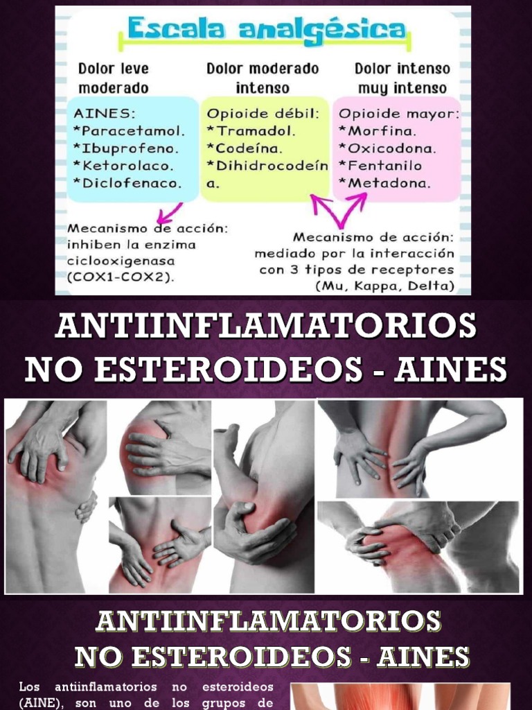 Exposición 08 - Antiinflamatorios No Esteroideos - Aines | PDF | Inflamación | Droga anti ...