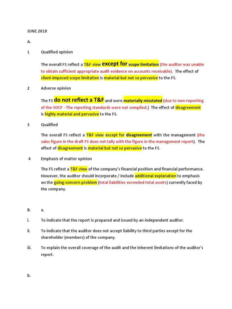AUD589 Tutorial Aud Report | PDF | Financial Audit | Going Concern