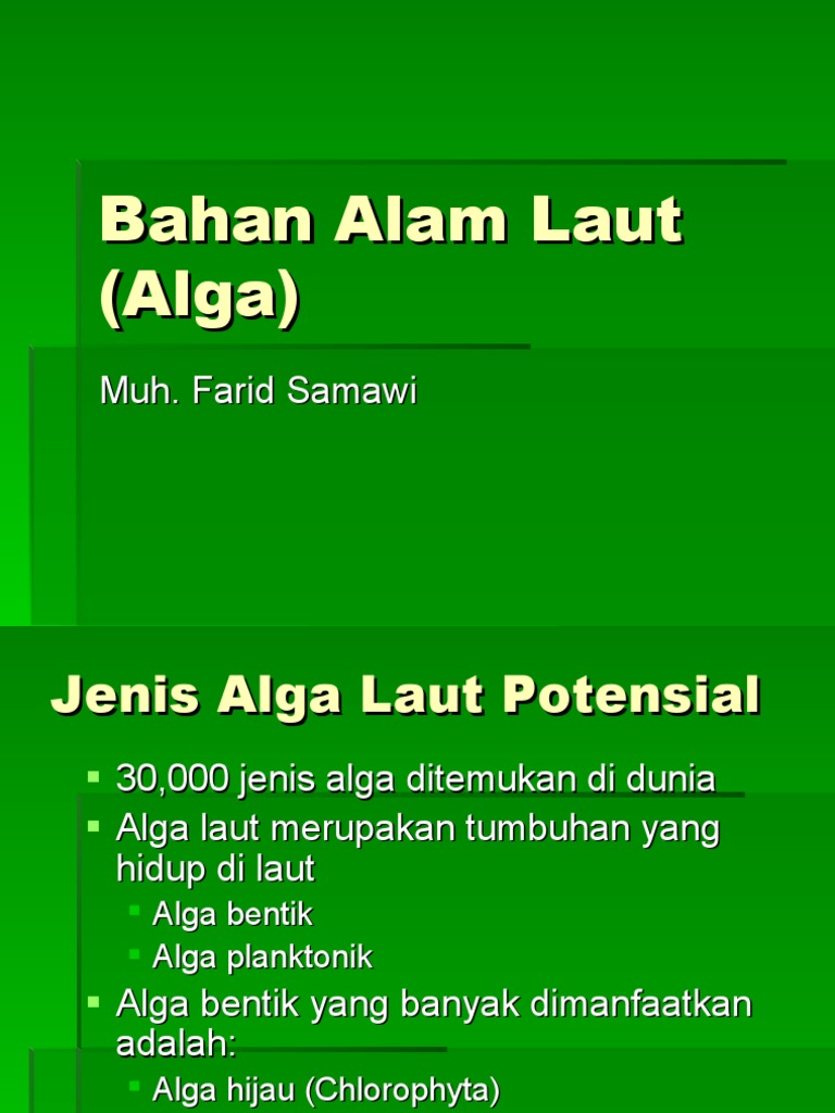 Bahan Alam Laut (Alga) | PDF | Agar | Seaweed