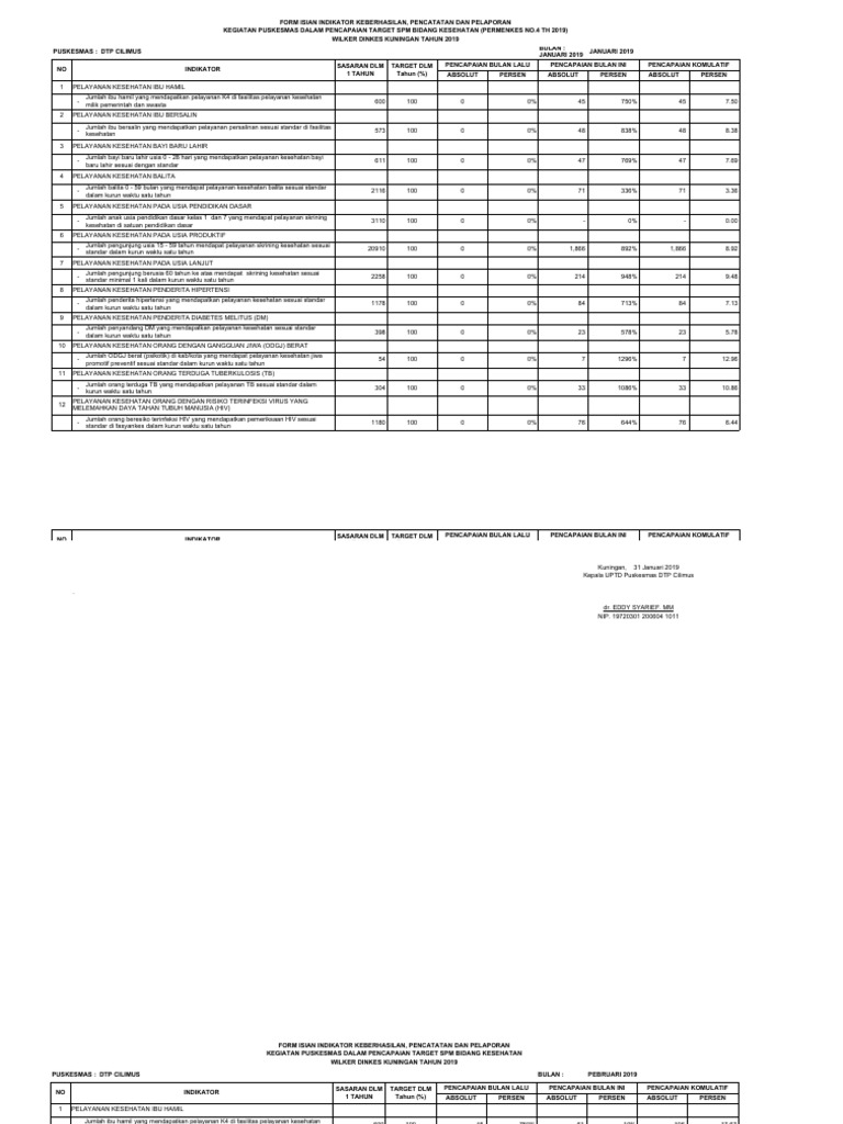Format SPM - 2019 - Puskesmas | PDF