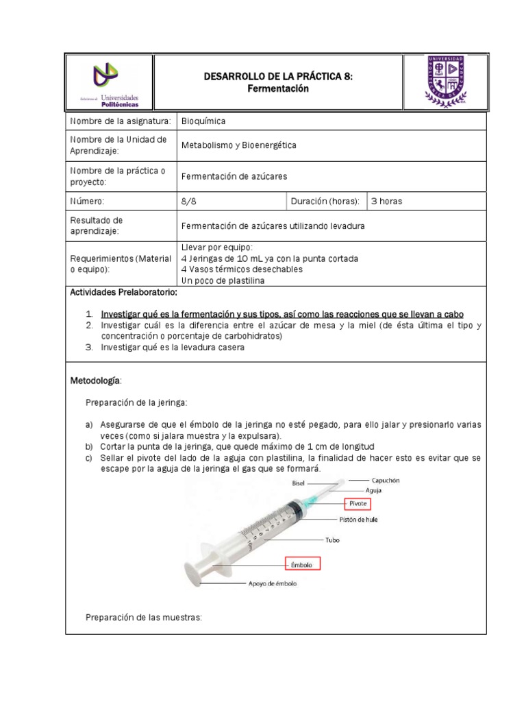 Práctica 8 Bca-1 | PDF | Levadura | Miel