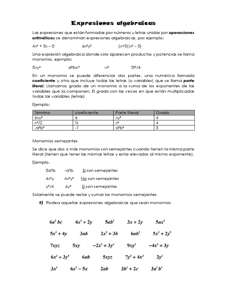 Introducción a Expresiones Algebraicas | PDF | Multiplicación | Ciencia ...