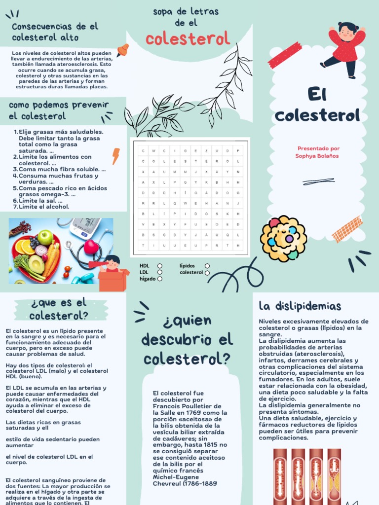 El Colesterol | PDF | Colesterol | gordo