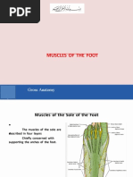 Dorsum and Sole | PDF | Foot | Ankle