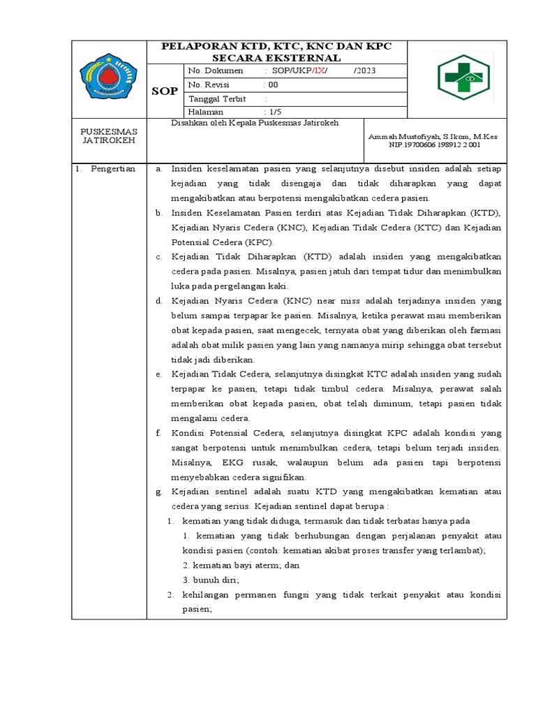 Pelaporan Ikp Eksternal | PDF
