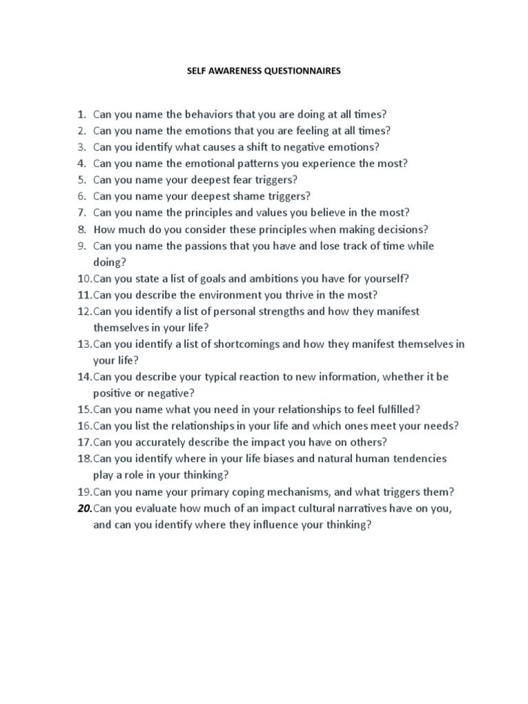 Self Awareness Questionnaires | PDF
