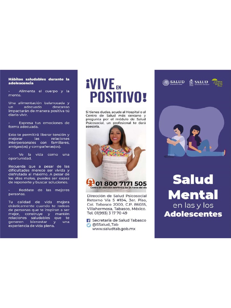 Triptico Salud Mental | PDF