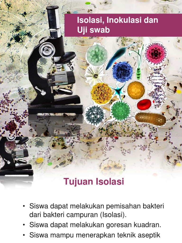 Isolasi, Inokulasi Dan Uji Swab | PDF