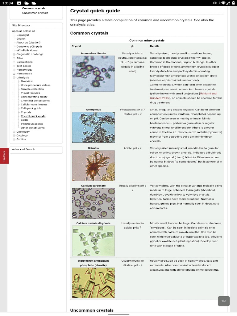 Urinary Sediment Table | PDF