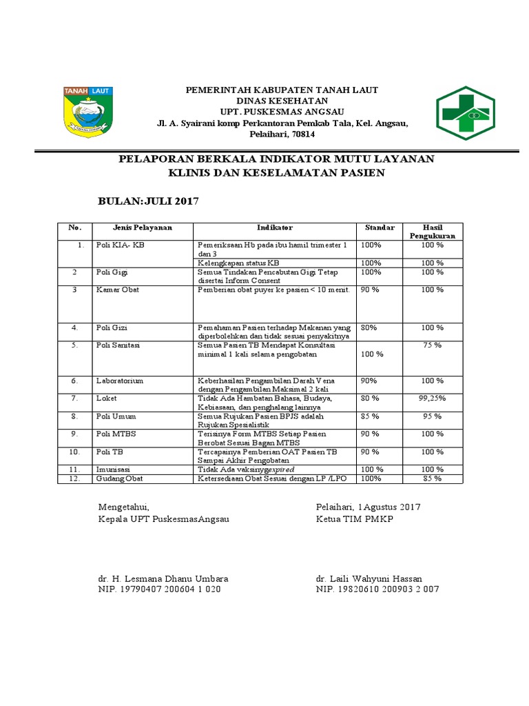 Lap - Indikator Mutu Juli 2017 | PDF