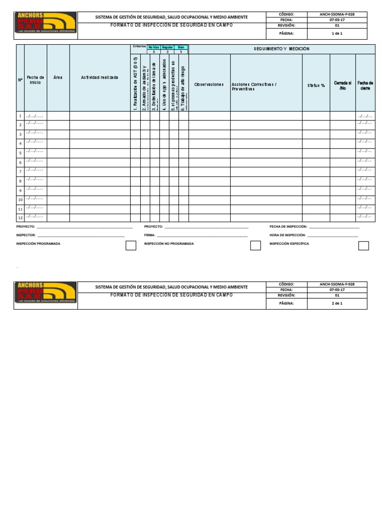 F-028 Formato de Inspeccion de SST en Campo | PDF | Seguridad y salud ocupacional