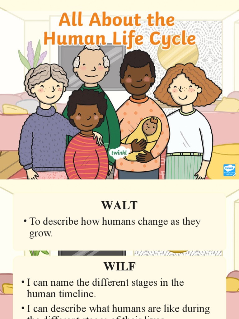 Human Life Cycle Powerpoint | PDF | Adolescence | Toddler