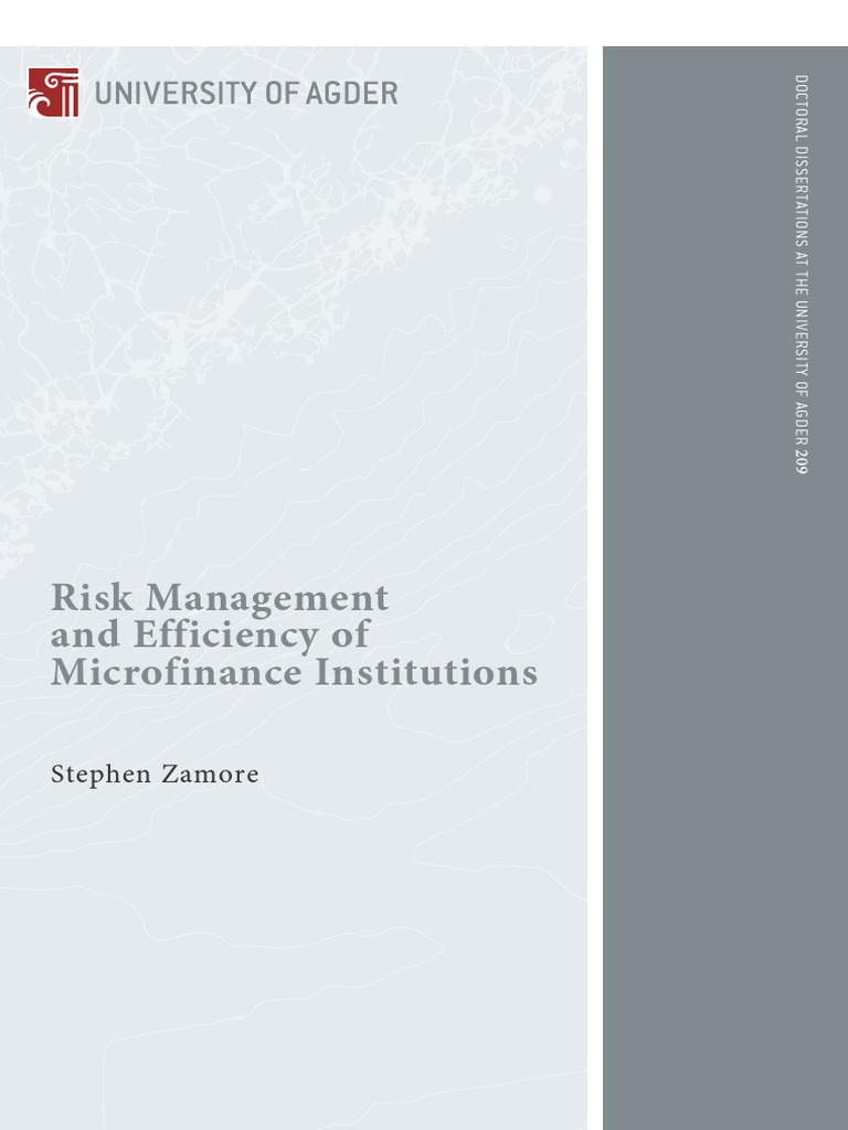 Dissertation | PDF | Microfinance | Positivism