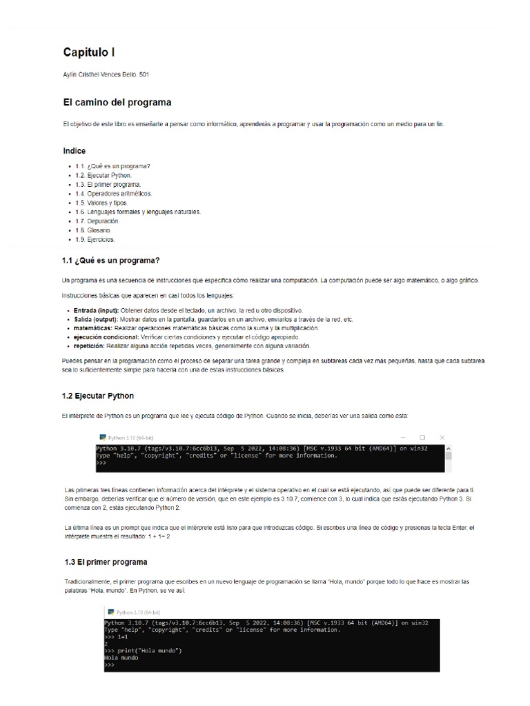 Capitulo 1 Python Resumen | PDF | Informática