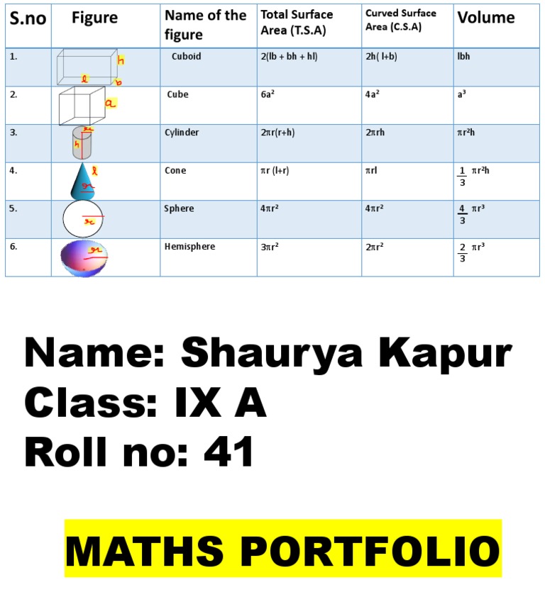 Maths Portfolio Shaurya Kapur IX A | PDF