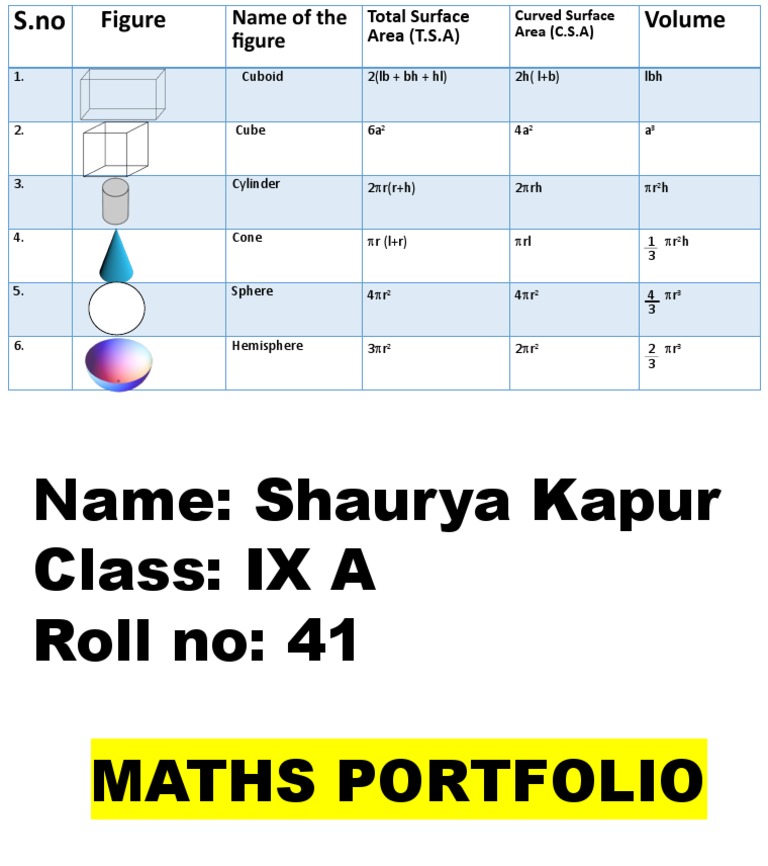 Maths Portfolio Shaurya Kapur IX A | PDF