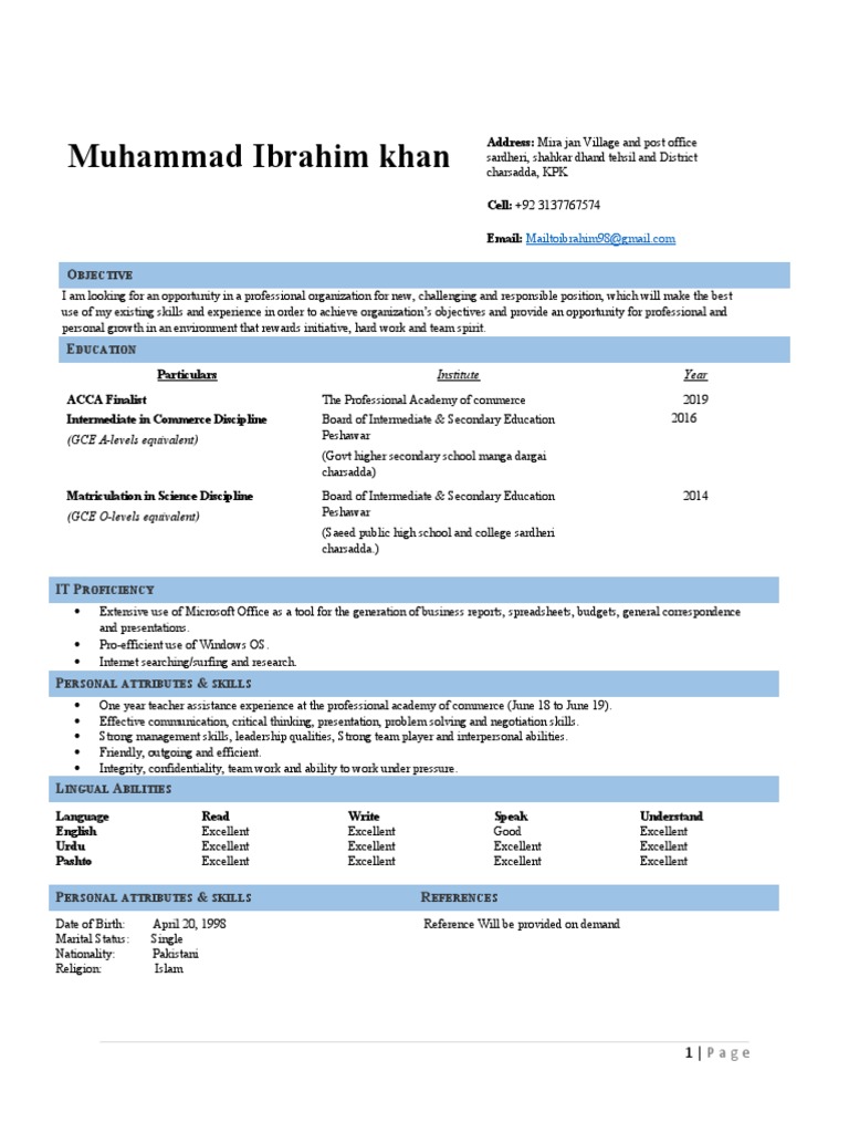 Ibrahim CV | PDF