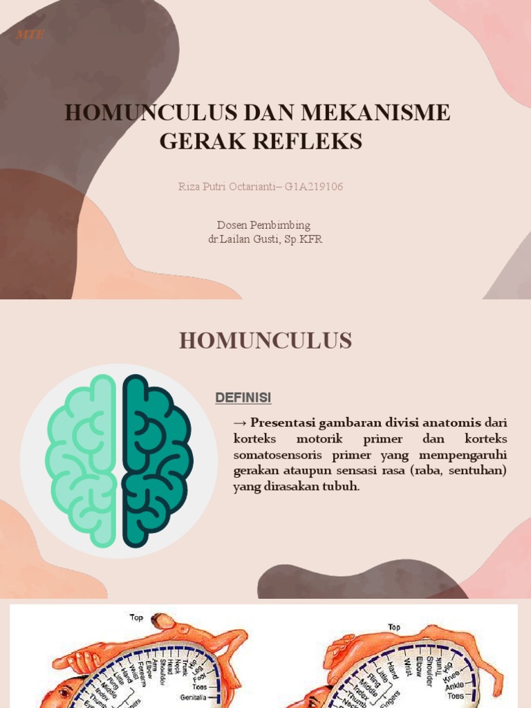 MTE Homunculus - Riza Putri Octarianti | PDF