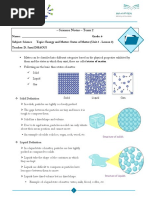 Grade 6 - Classification of Plants | PDF