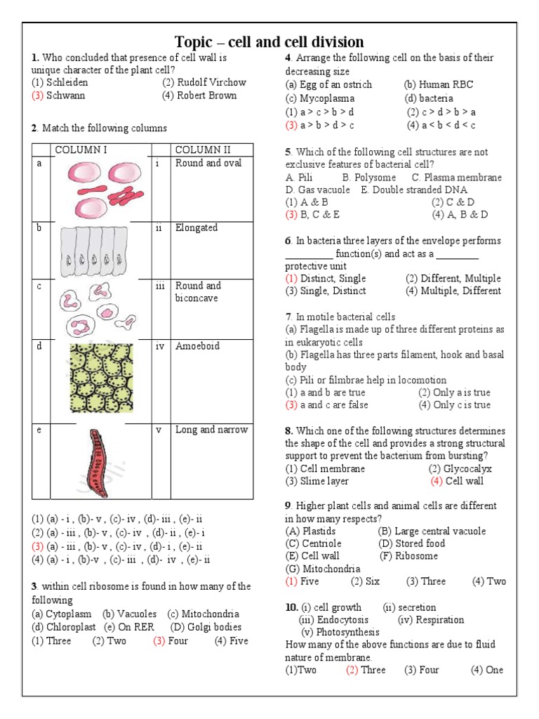 Cell and Cell Division Answer | PDF | Cell Biology | Biology