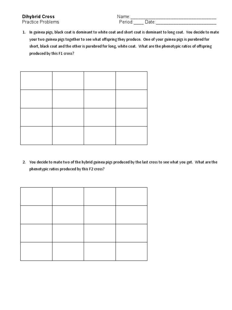 Dihybrid Cross Practice Editable | PDF