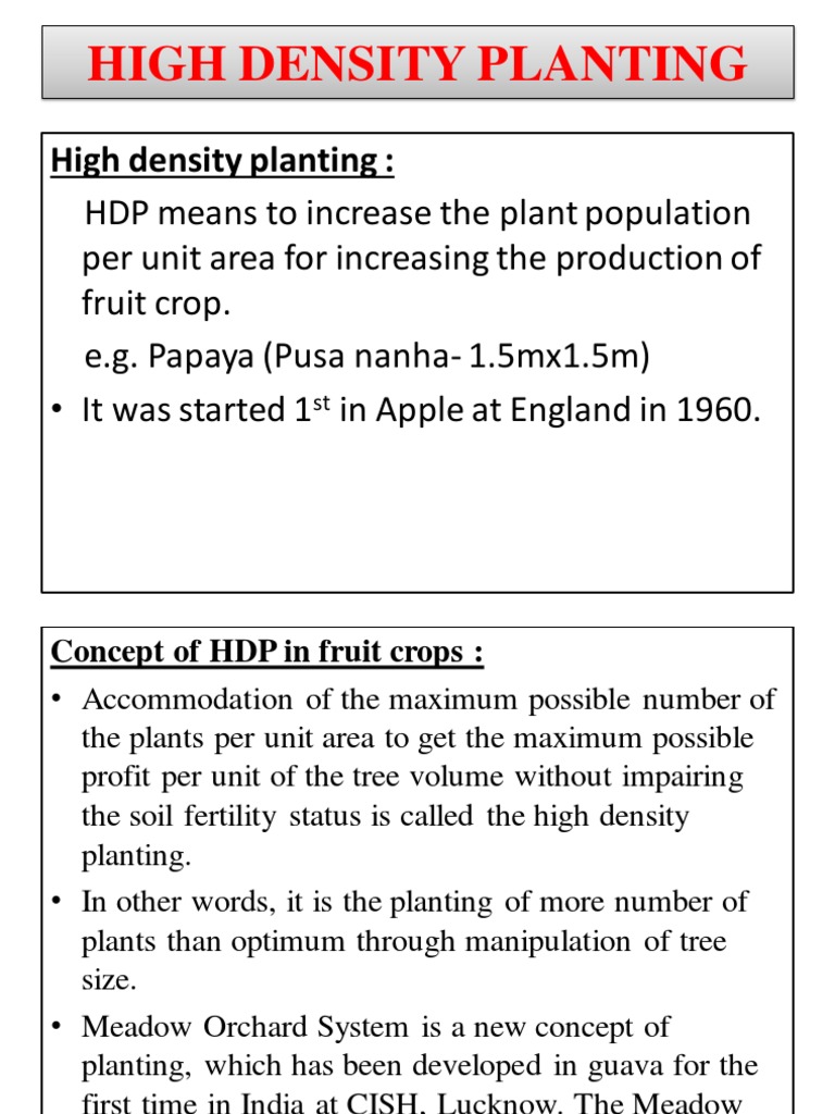 HDP & Rootstock | PDF | Orange (Fruit) | Apple