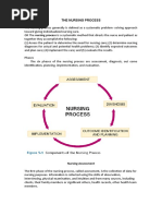Safer Nursing Care Tool Implementation Guide | PDF | Nursing | National ...