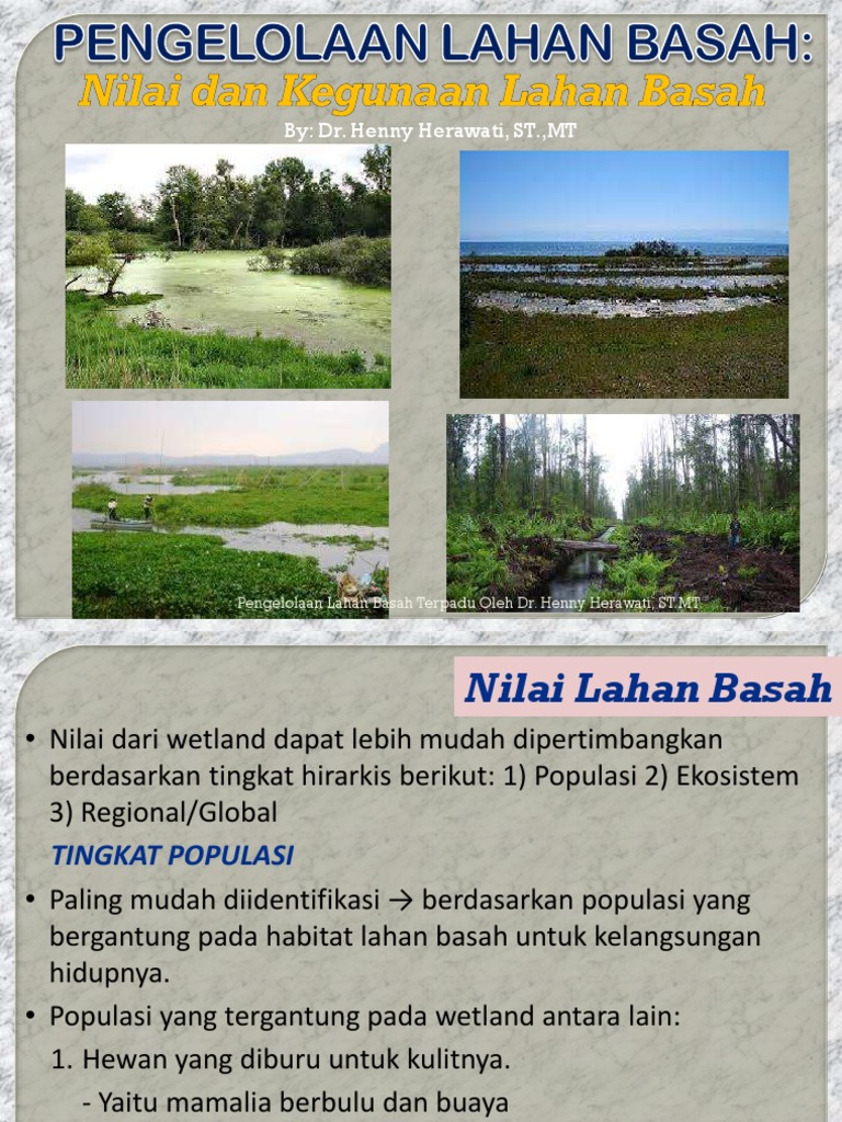 2 - Pengelolaan Lahan Basah - Pertemuan 2 | PDF