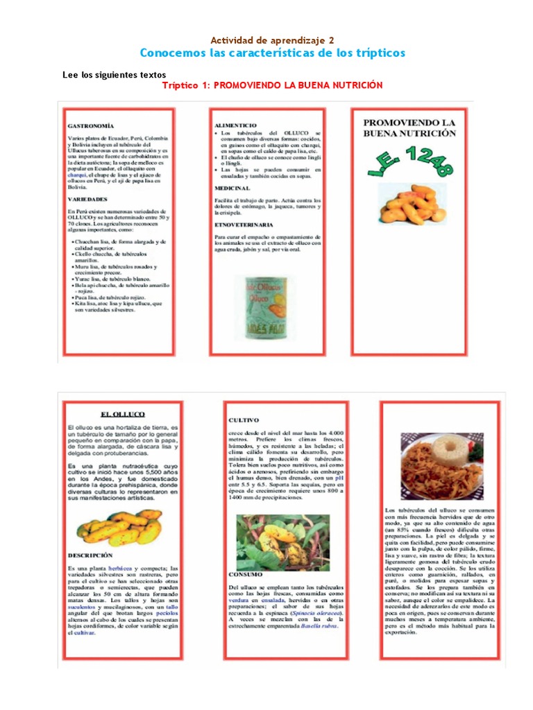 Actividad de Aprendizaje 2 - El Triptico | PDF | Ciencias sociales