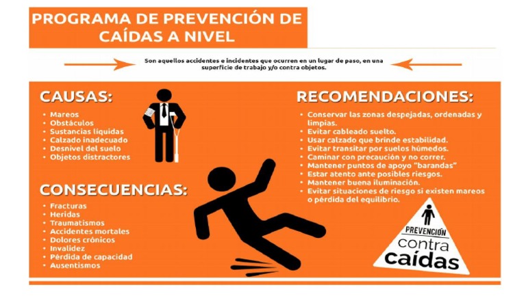 Prevencion Caidas A Nivel Pdf