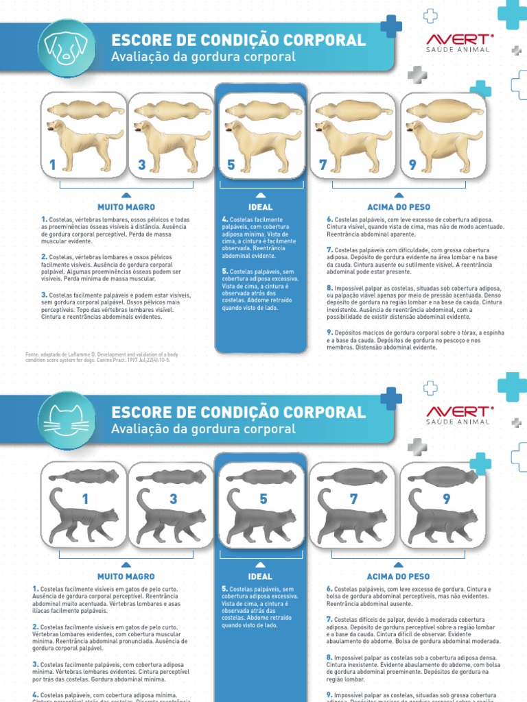 Escore Corporal | PDF | Coluna vertebral | Anatomia