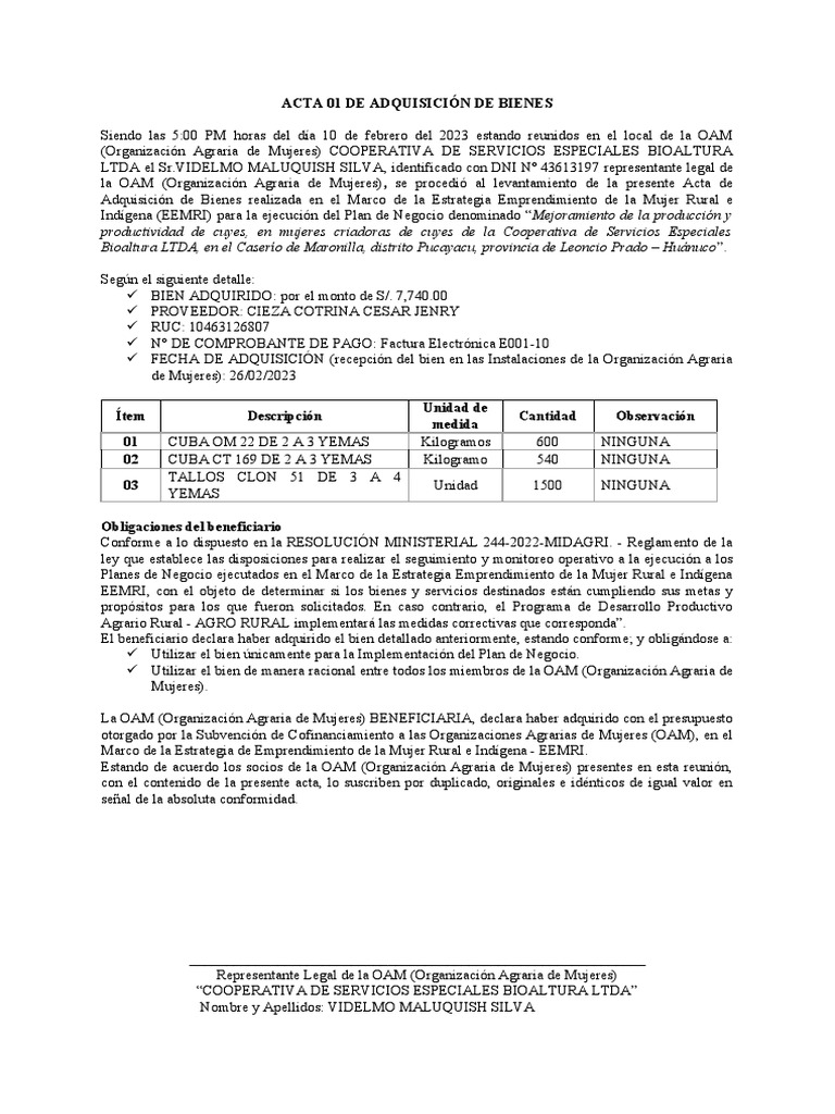 Anexo 03 Acta de Adquisicion de Bienes | PDF | Sector privado | Gestión estratégica