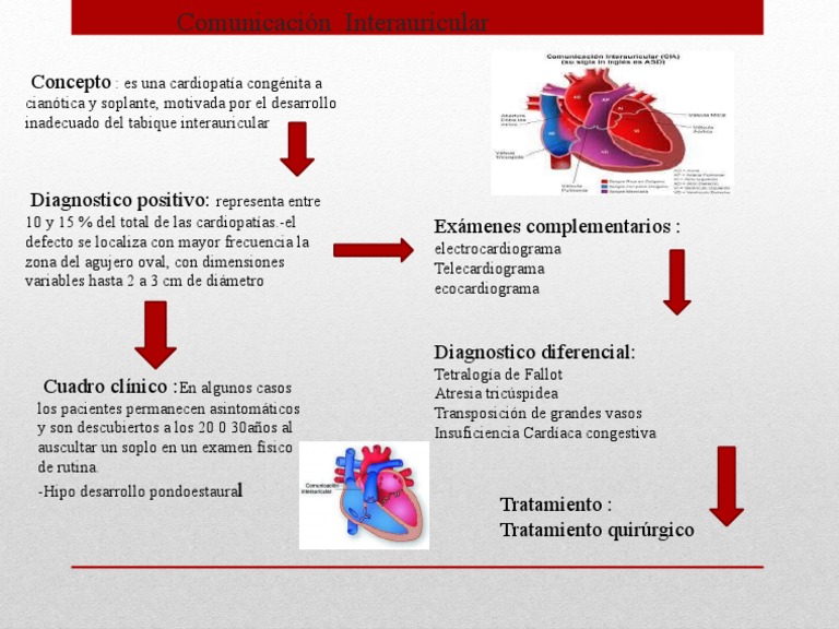Comunicación Interauricular | PDF