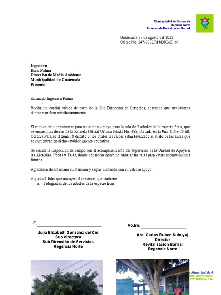 Oficio de Apoyo Poda de Arboles Paraiso II Esc. 455 | PDF
