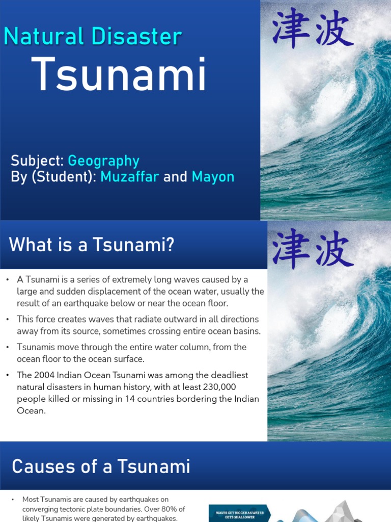 Natual Disaster (Tsunami) -Grade 7 | PDF
