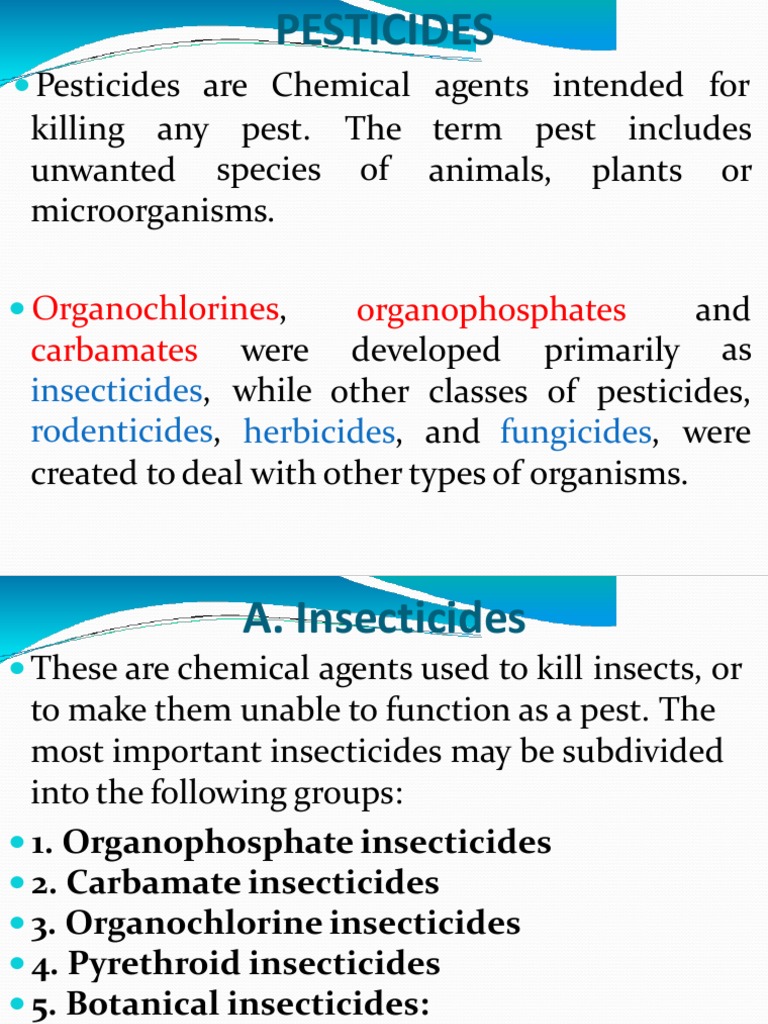 Toxic | PDF | Insecticide | Acetylcholine