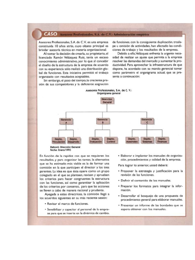 Caso No 2 Estructura Organizacional | PDF
