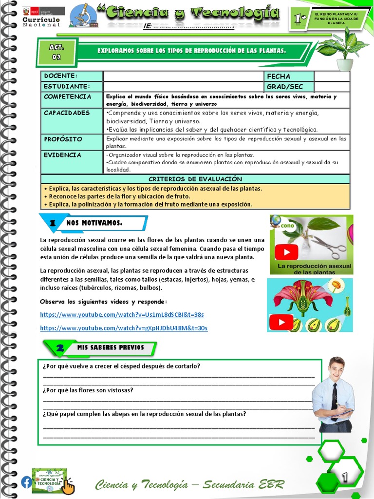 D-1º Act 5 Cyt Unid 2 - Sem 4 | PDF