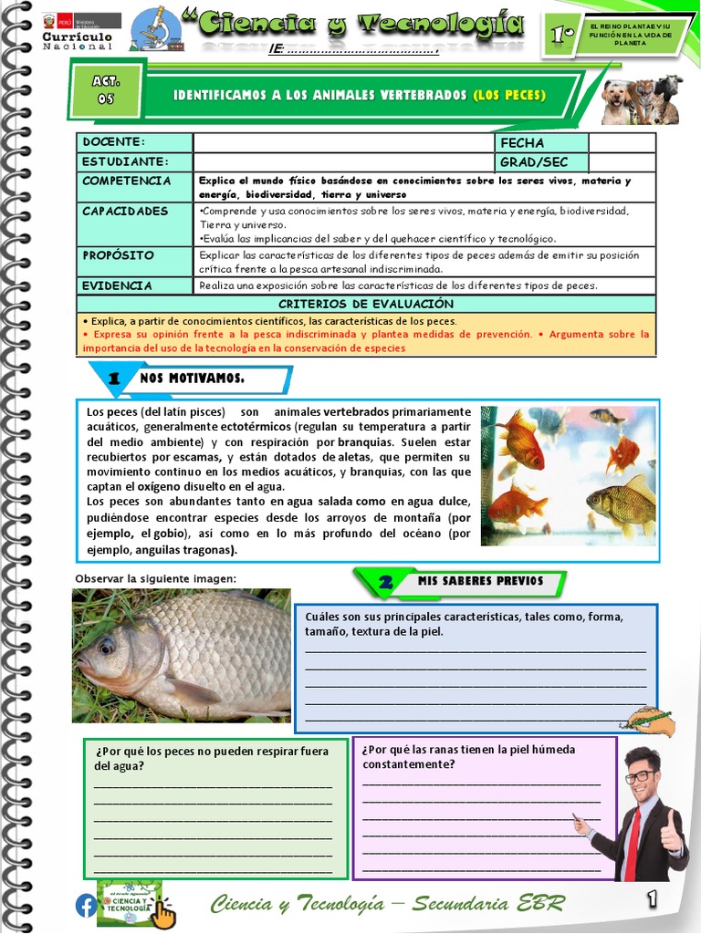 D-1º Act 5 Cyt Unid 3 - Sem 4 | PDF