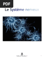 Dissection virtuelle du système nerveux de la grenouille | PDF | Nerf ...