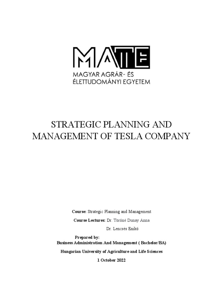 Tesla's Strategic Planning Overview | PDF | Tesla Model S | Electric ...