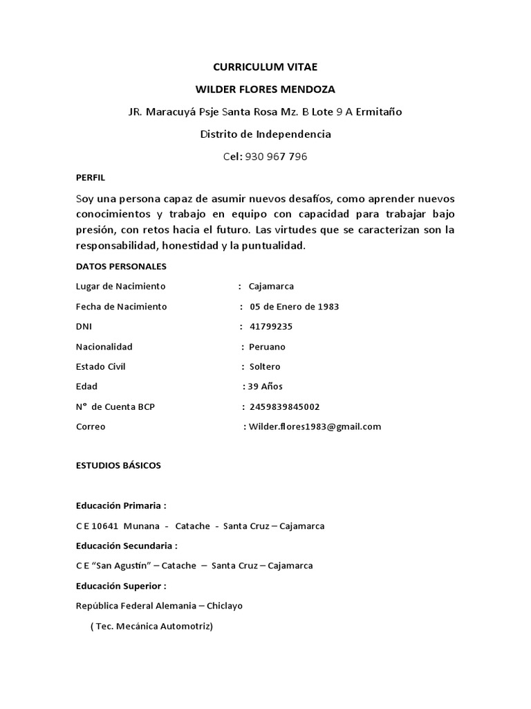 Curriculum Vitae Wilder Flores Mendoza: Perfil | PDF